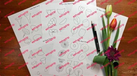 How To Draw Flowers An Easy Step By Step Guide Eshoptrip