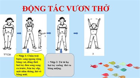 THỂ DỤC LỚP 4 Động tác vươn thở tay của bài TDPTC YouTube