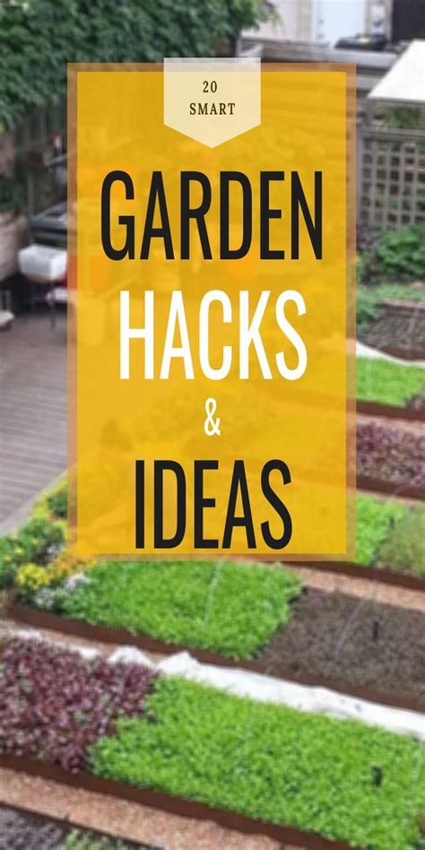 20 Easy Gardening Hacks Ideas Gardening Tips Easy Garden Easy