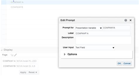 Otbi Formula Based On Presentation Variable Prompt — Oracle