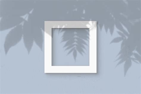 파란색 벽 배경에 흰색 질감 종이의 사각형 시트 식물 그림자의 오버레이와 모형 자연채광은 이국적인 식물의 잎에서 그림자를 드리워