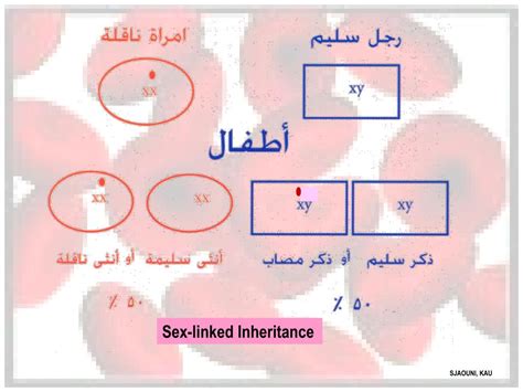 Ppt Hemolytic Anemias Powerpoint Presentation Free Download Id4632555 Ppt Hemolytic Anemias Powerpoint Presentation Free Download Id4632555