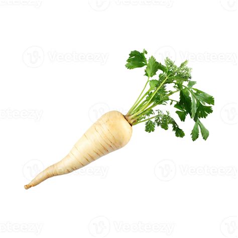 AI Generated Floating Of Parsnip Without Shadow Isolated Transparent Background 36265589 PNG