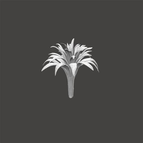 พุ่มไม้สูง โมเดล 3 มิติ Studia3d