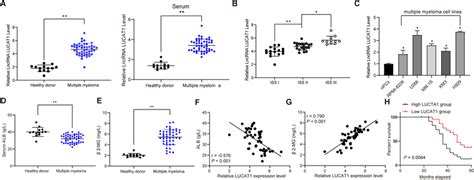Long Noncoding Rna Lncrna Lucat1 Is Upregulated In Mm Tissues Serum