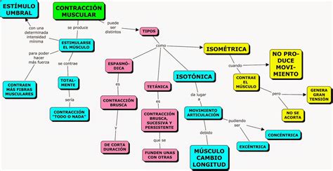 Sistema Muscular Mapa Conceptual Top Mapas Images And Photos Finder Images