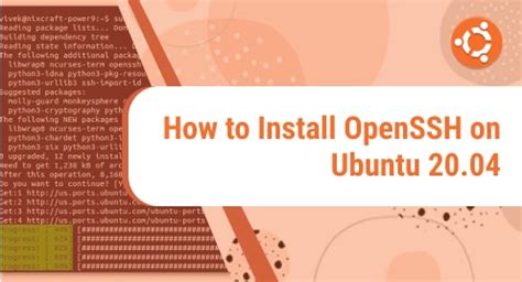 How To Install Lynx Browser On Ubuntu 20 04 LinuxWays