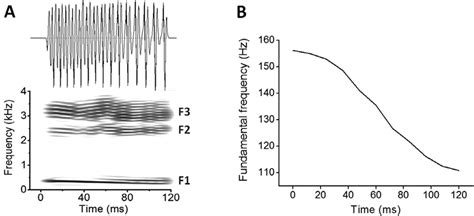 The Vowel I Used For The Neural Measurement A The Temporal
