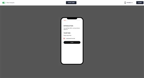 Preview Prototype Or Test