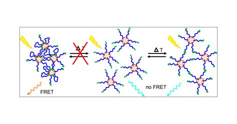 Thermoresponsive Self Assembly Of Twofold Fluorescently Labeled Block Copolymers In Aqueous
