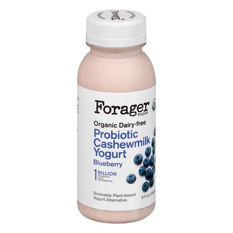 Forager Project Blueberry Organic Dairy Free Probiotic Cashewmilk