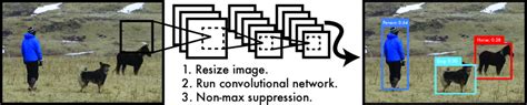 You Only Look Once Unified Real Time Object Detection