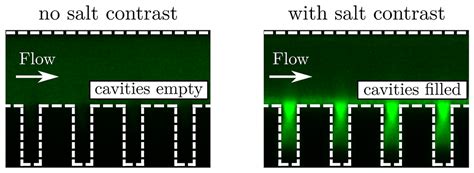 Particle Microfluidics Group Ucl