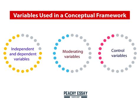 Conceptual Framework Control Variables