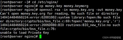 Linux简单搭建web网站linux部署网页 Csdn博客