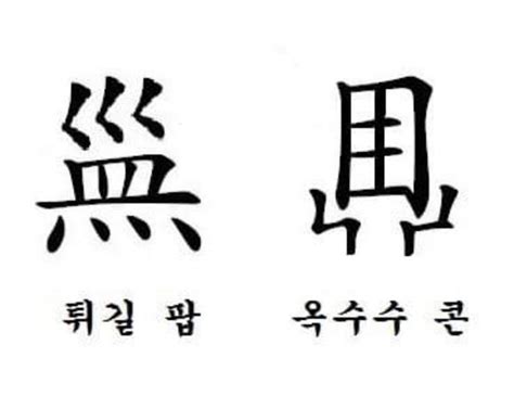 혹시 여기도 한자로 백신 못쓰는 애들있냐 유머 채널