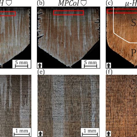 Selective Electron Beam Melting Sebm Processing Parameters For