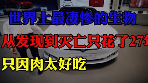 世界上最凄惨的生物从发现到灭亡只花了27年只因肉太好吃 YouTube