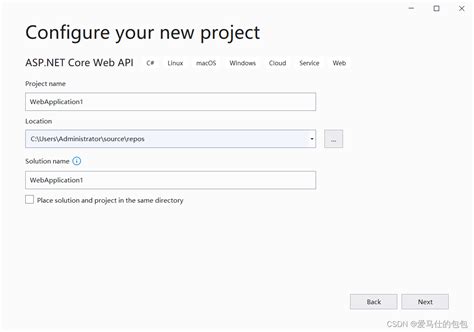 c core webapi简单创建及使用 c webapi csdn博客