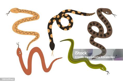 플랫 스타일로 다른 색상으로 뱀세트 흰색 배경에 격리된 벡터 그림 코브라에 대한 스톡 벡터 아트 및 기타 이미지 코브라 뱀 정원 Istock