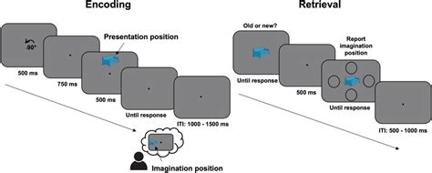 Schematic Illustration Of The Experimental Procedure In The Encoding Download Scientific