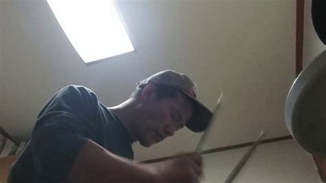 🇰🇷윤향기 장미빛 스카프연주곡 드럼연주 박뮤직코리아and조아람 바이올린 Youtube