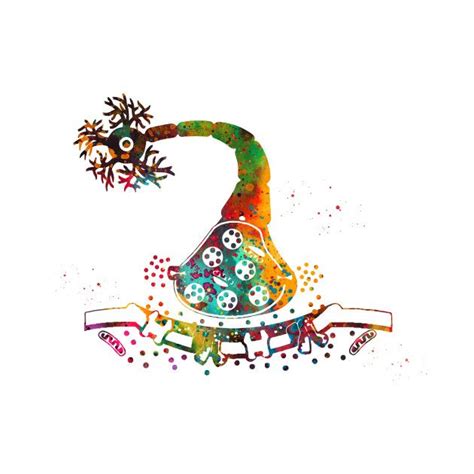 Neuron And Synapse Diagram By Erzebeth Medical Art Diy Prints Watercolor Art