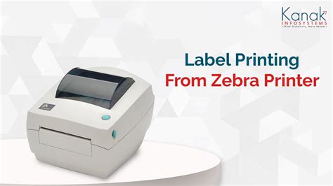 zebra printer printing blank labels after printing at william emery blog
