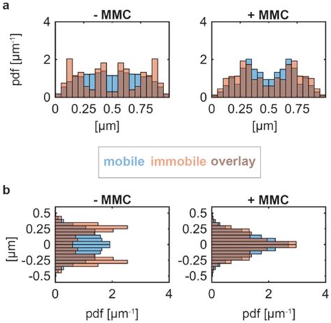 Spatial Distribution Of Single Recn Yfp Molecules Classified As