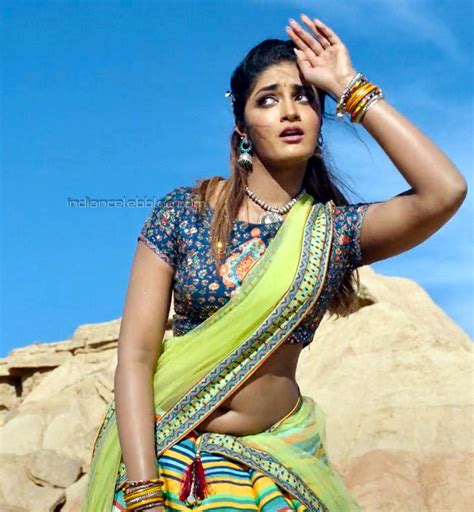 Dimple Hayathi Telugu Ramabanam 7 Hot Saree Navel Hd Stills