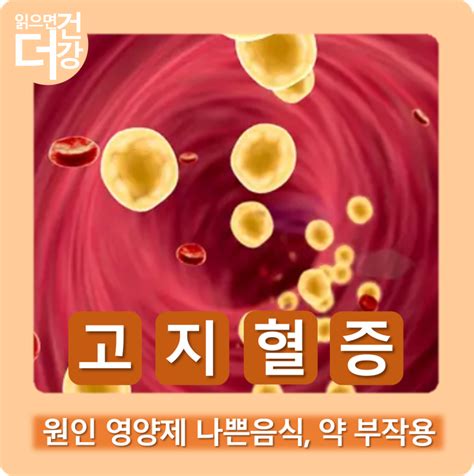 고지혈증약 부작용 고지혈증 원인 나쁜음식 영양제 후기 네이버 블로그