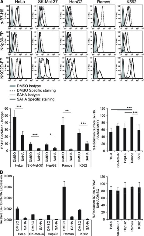 B7 H6 Expression In Tumor Cell Lines Is Downregulated By Treatment With