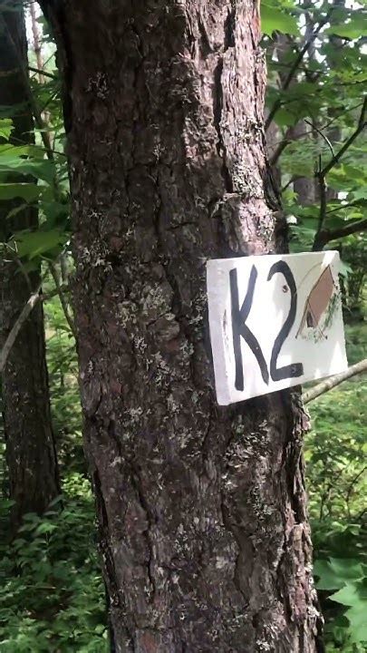 camping area ⛺️ youtube