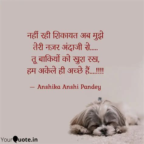 नहीं रही शिकायत अब मुझे त Quotes And Writings By Anshika Anshi