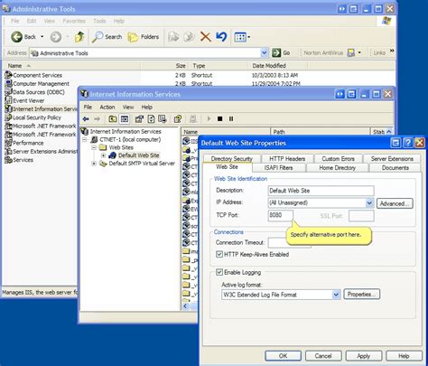 Alternative Iis Port Specification