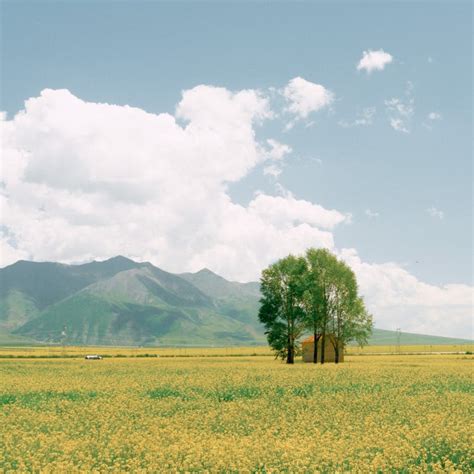 有关丘陵 乡村景观 优美的风景 冷靜 前景 和平的 地平線 夏天 天性 天空 孤立的 寧靜 山 工厂 广阔 廣大
