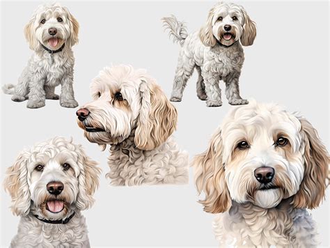 White Cockapoo Printable Digital Downloads 10 Sublimation Dog Bundle