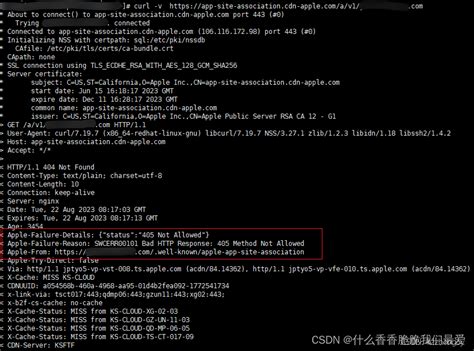Universal Links Apple App Site Association文件 Not Found的问题，需要外网ip访问 Csdn博客