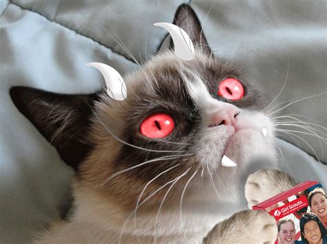 Mfw I Get Girl Scout Cookies For Halloween  On Imgur