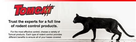 Amazon Com Tomcat Mouse Killer II 4 Pack Kid Resistant Disposable Mouse Bait Station Bird