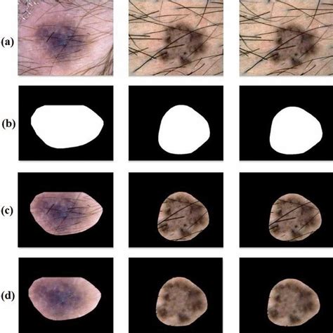 Segmentation Results A Input Image B Masked Image C Segmented Image