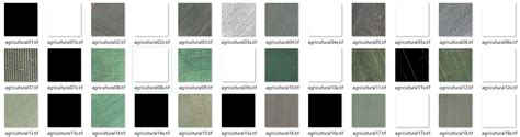 Live Interaction Bag Of Covolutional Features