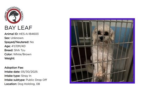 Humane Educational Society Humane Educational Society