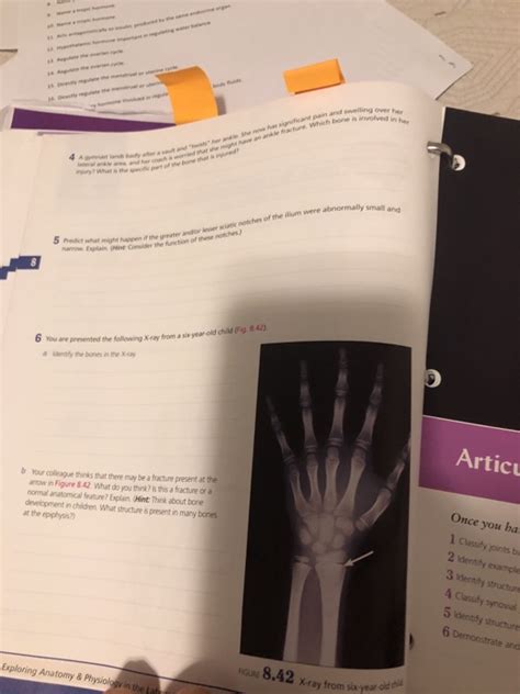 Solved Name Section NIT Check Your Recall REVIE W 1 Label Chegg