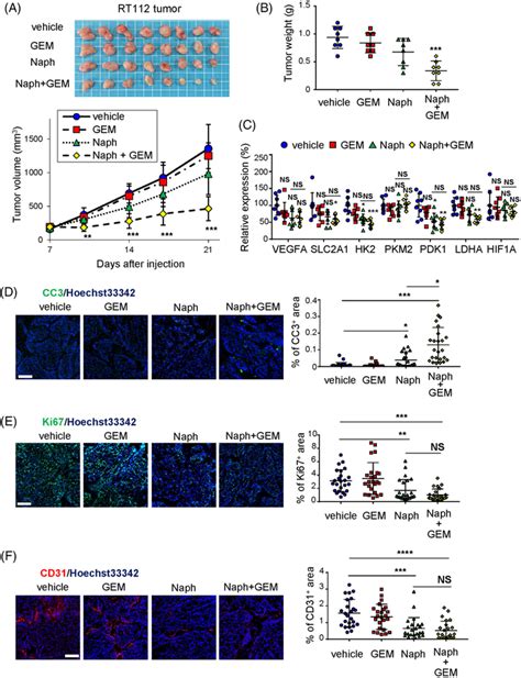 Pharmacological Inhibition Of Munc18‐1‐interacting Protein 3 Mint3
