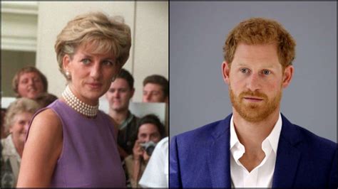 Landmines Charity Supported By Princess Diana Prince Harry Embroiled
