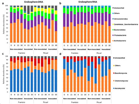 Taxonomical Profile At Phylum Level Of The Endosphere Communities From