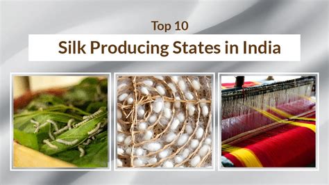 Top 10 Silk Producing States In India 2024