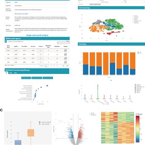 Detailed Information Page Of A Single Cell Rna Seq Dataset Example A
