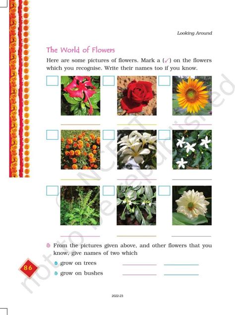 Ncert Book For Class 4 Evs Chapter 11 The Valley Of Flowers Indcareer